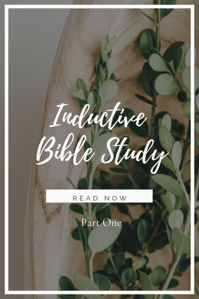 Inductive Bible Study Bible Verse Interpretation