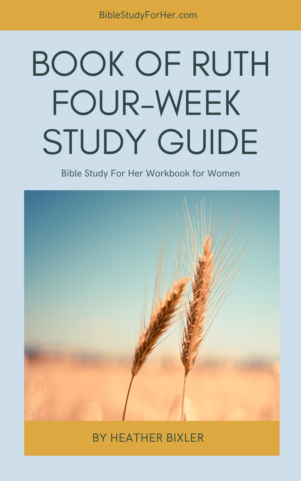 Who What Where When And Why Bible Study Method